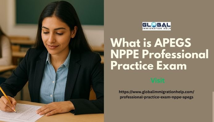 What is APEGS NPPE Professional Practice Exam