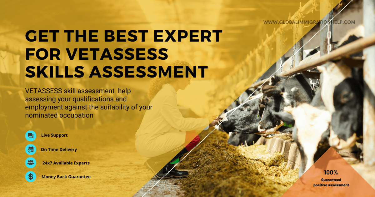 VETASSESS Skill Assessment